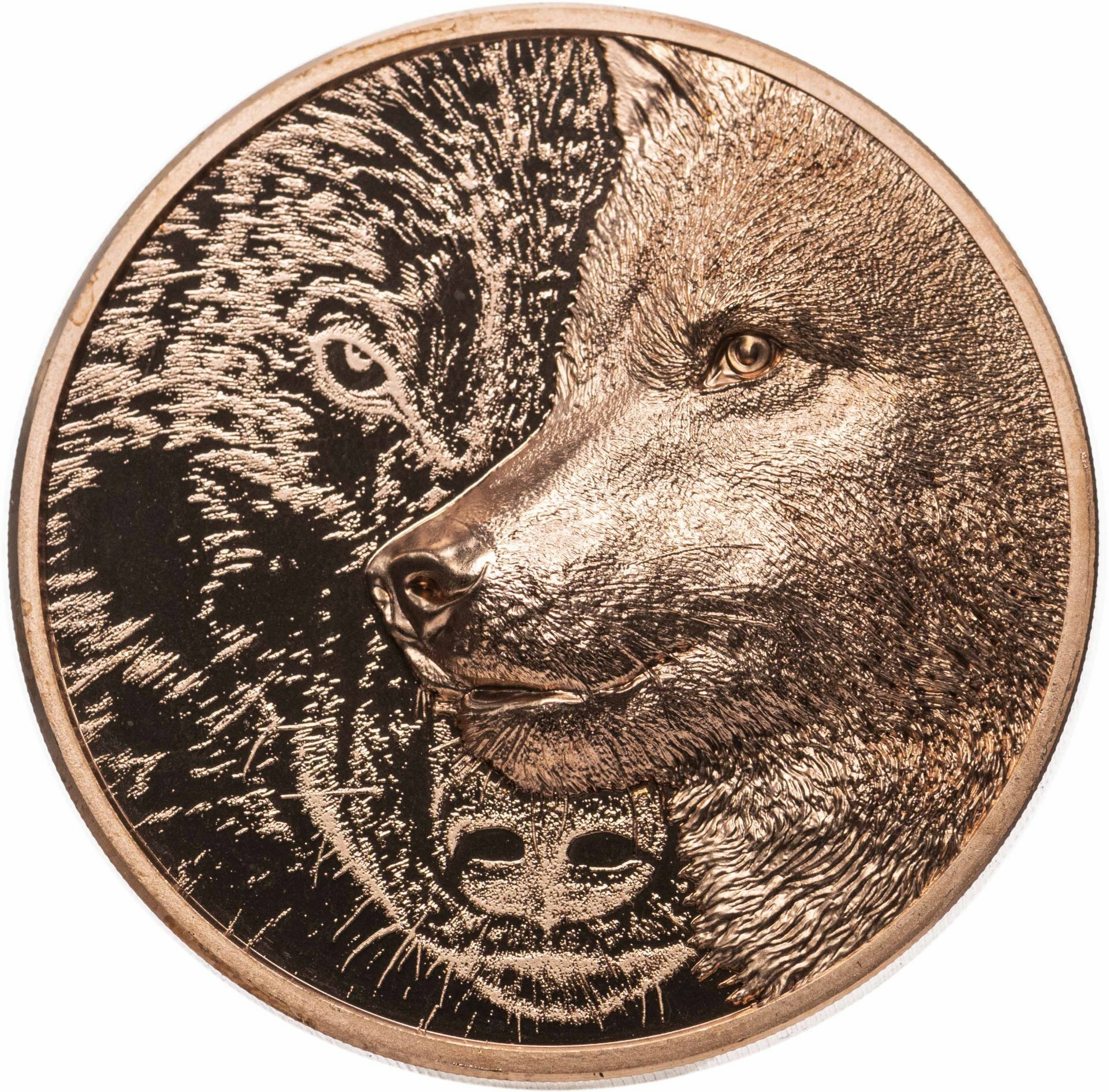 Монголия 250 тугриков 2021 "Мистический Волк" в капсуле с сертификатом, Медь 999, в сохранности PL