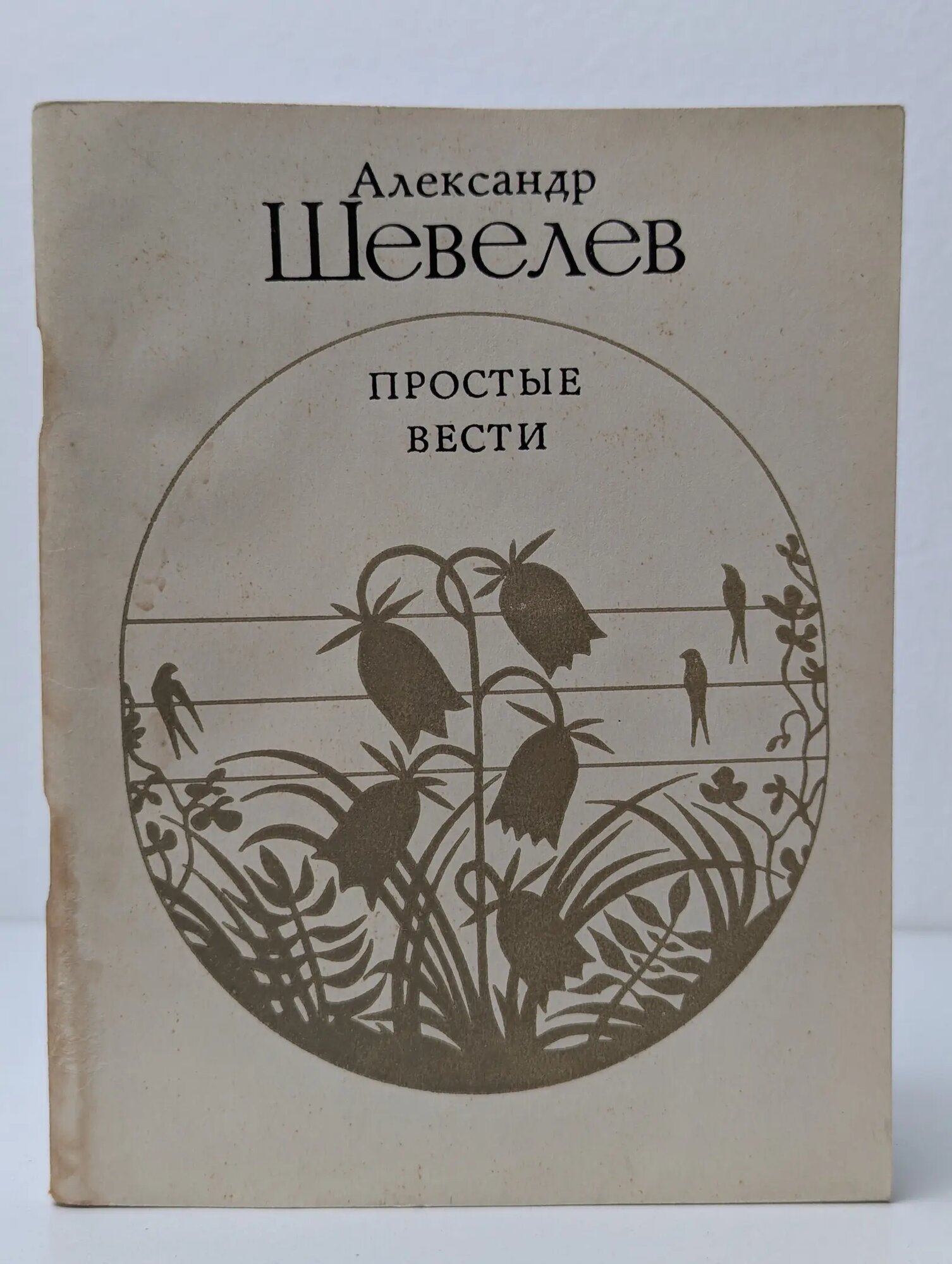Простые вести Шевелев Александр Александрович 1978