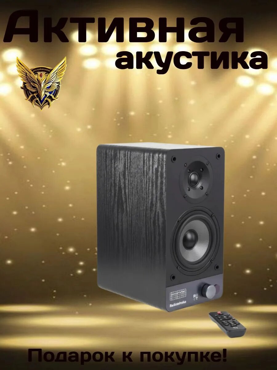 Акустика Radiotehnika S-20NA, активная, универсальная, 100 Вт