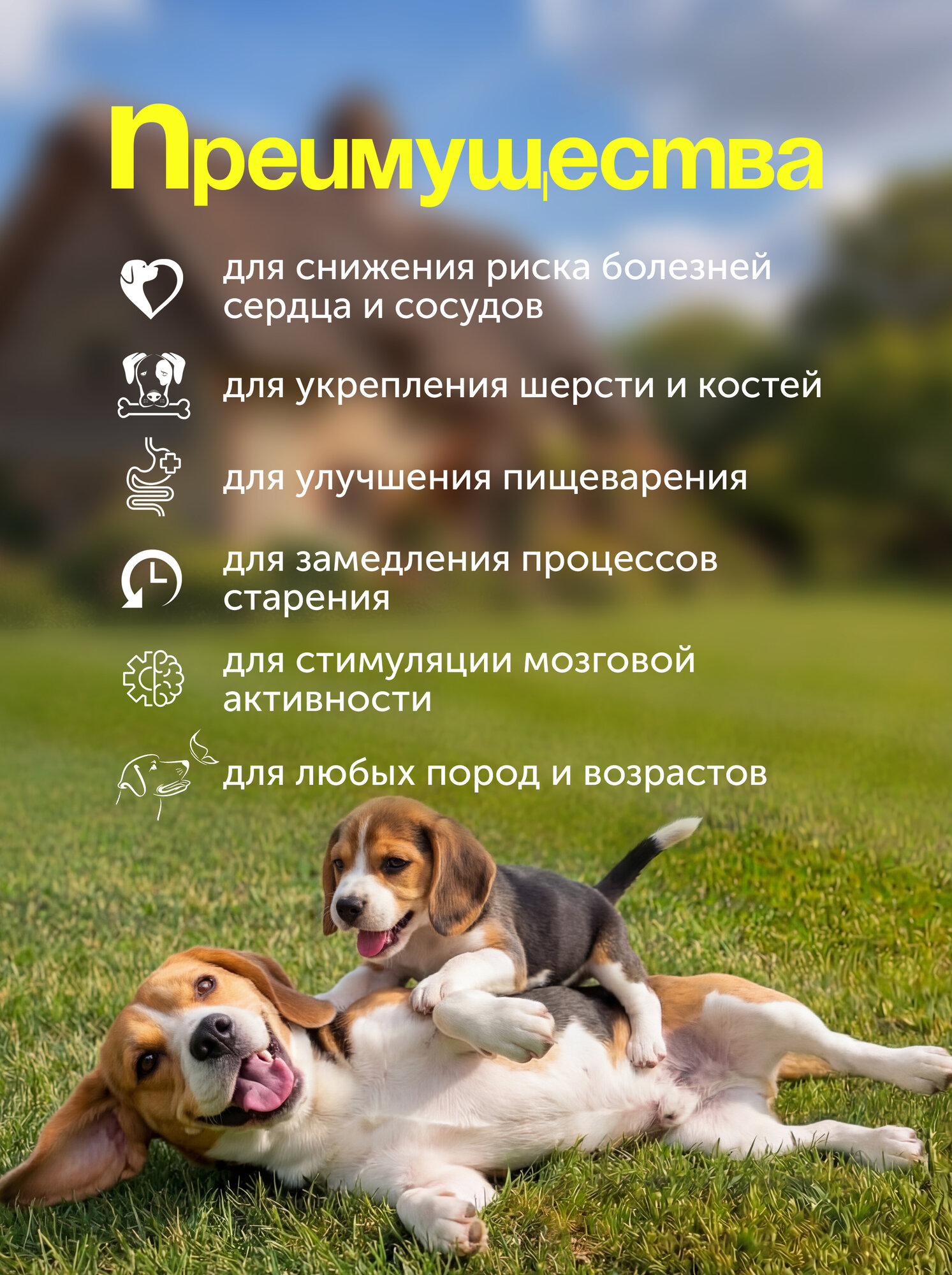 Каша для собак всех пород, рацион №2, гречка и семена льна, 5 кг — фото 1