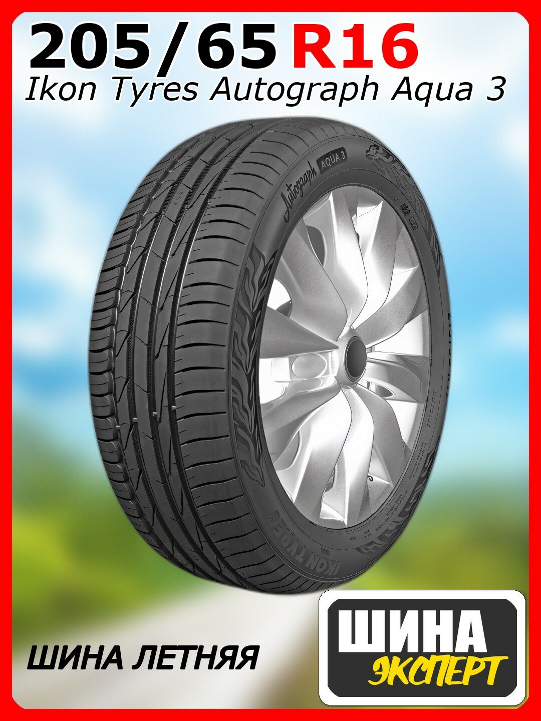 Шина летняя Ikon Tyres 205/65/16 V 99 Ikon Autograph Aqua 3 XL для легковых автомобилей T732279