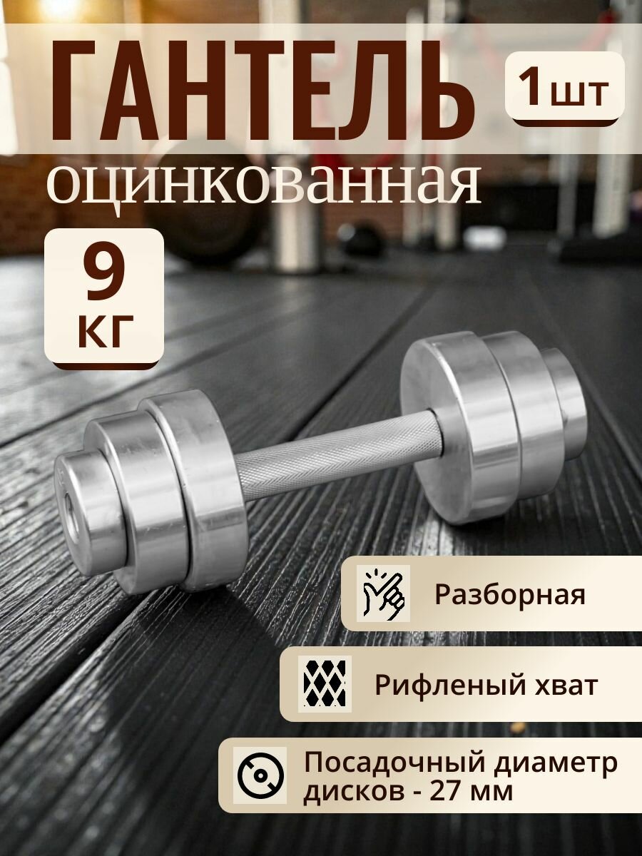 Гантель разборная оцинкованная 9 кг