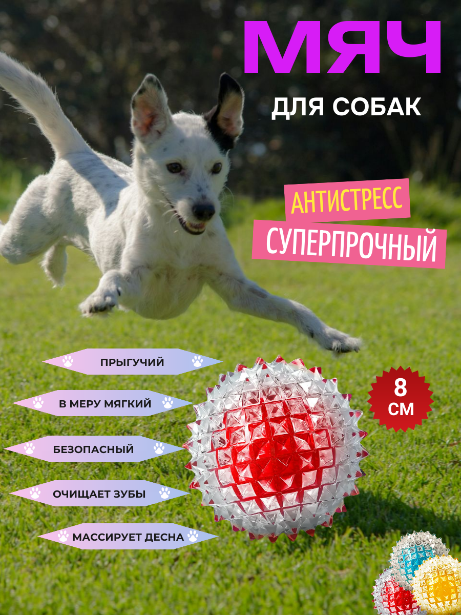 Мяч для собак, суперпрочный, массажный, прыгучий, антистресс