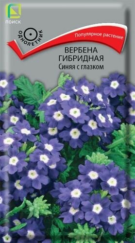 Семена вербены гибридной "Синяя с глазком" Поиск, 0,1 г, для солнечного места