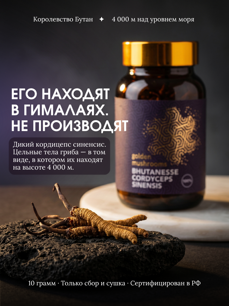 Кордицепс синенсис цельный сушёный 10 г | Дикий, Бутан, 4000 м | Для заваривания