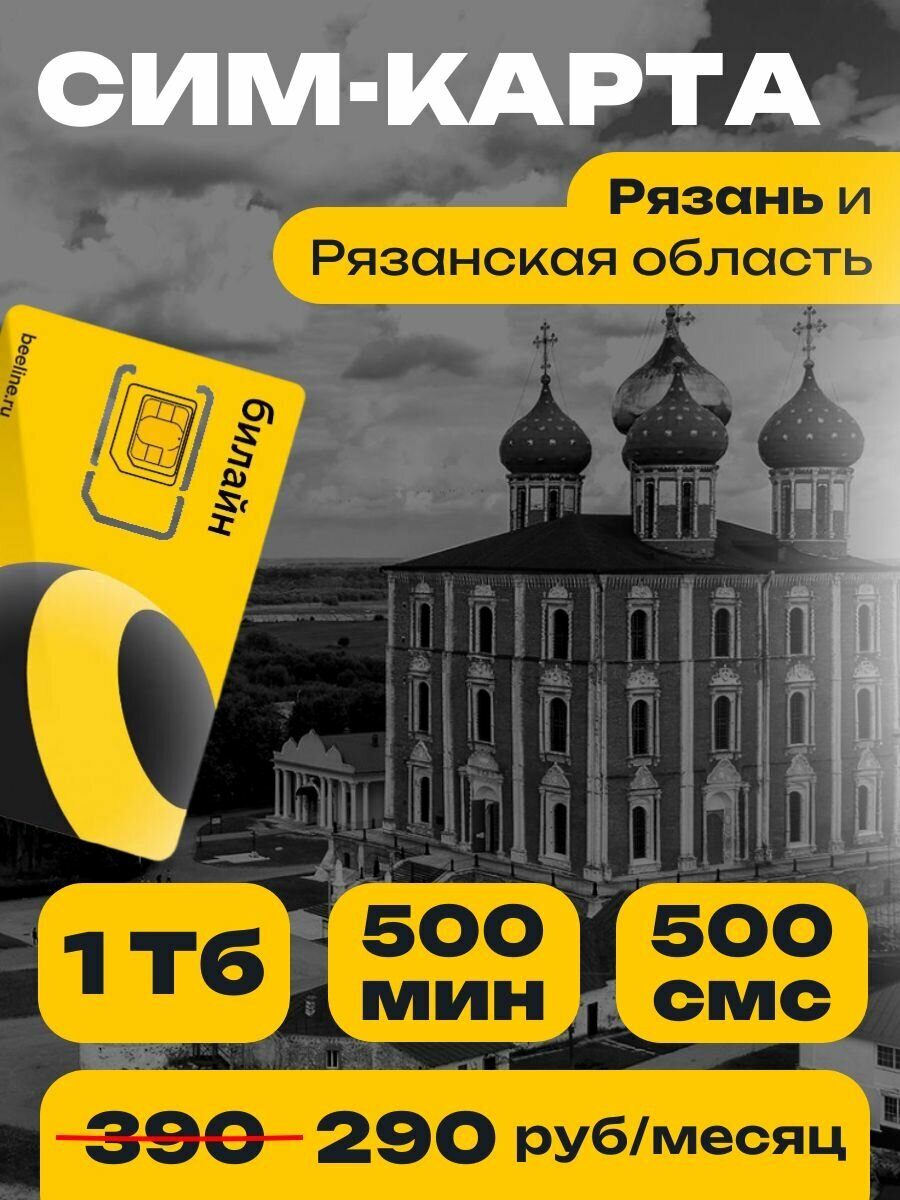 Сим-карта Билайн тариф Эксклюзивный Онлайн Лайт Рязанская область 1024 Гб + 500 минут за 290 руб.