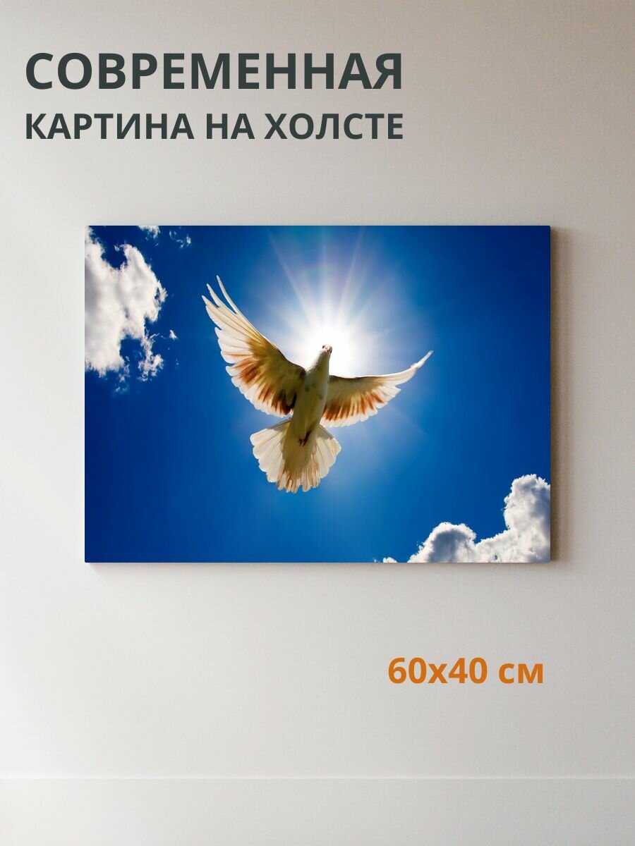 Картина на холсте Полет голубя 60x40 см