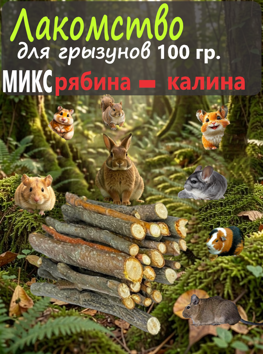 Веточки для грызунов микс рябина, калина, древесные, экологичные, поддержание иммунитета, 100 гр.