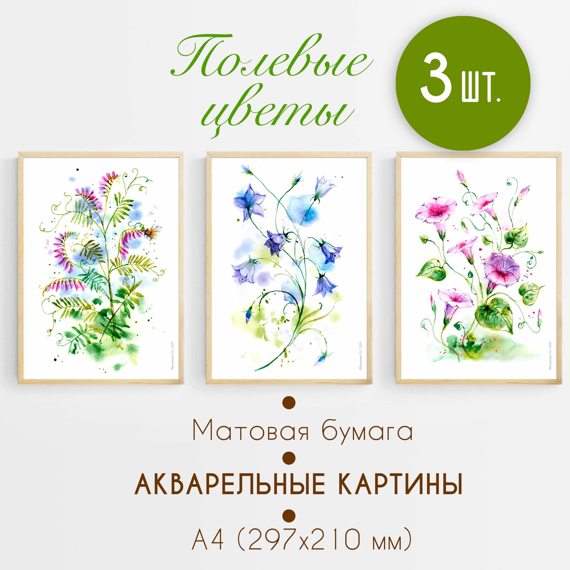 Набор интерьерных постеров "дикий горошек, вьюнок, колокольчик" , акварельные картины с цветами, плакаты для дачи