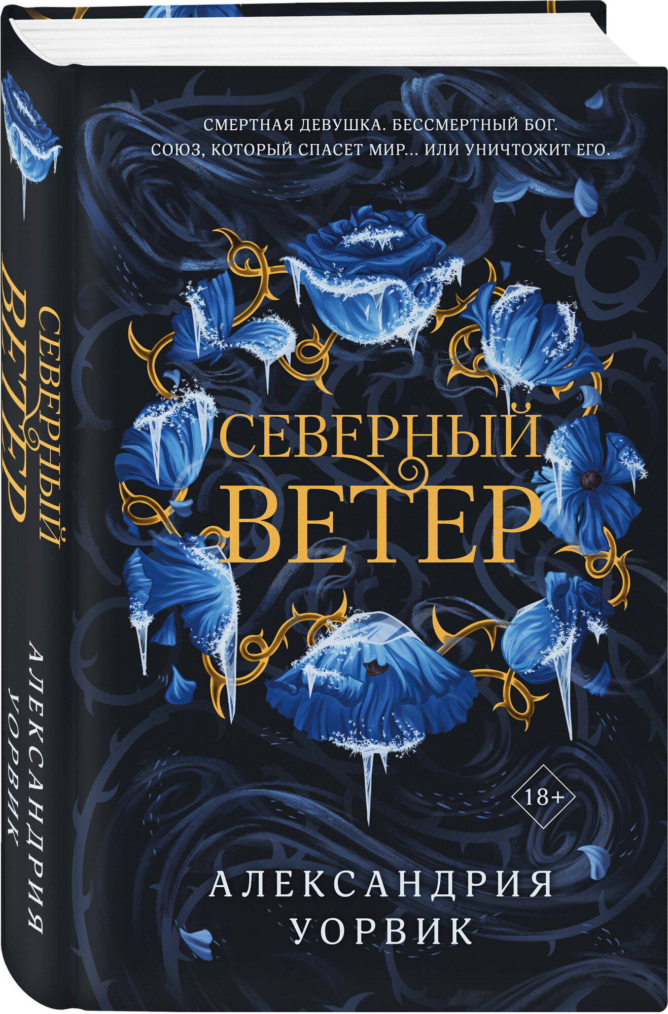 Четыре ветра: Северный ветер. Книга 1