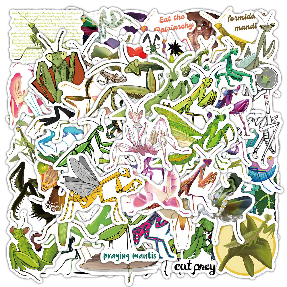 Набор из 50 наклеек с изображением богомола. Забавный набор виниловых наклеек с мультяшными насекомыми для ноутбука, скейтборда, бутылки с водой, чехла для телефона, альбома для вырезок. Водонепроницаемые и съёмные наклейки своими руками для подростк