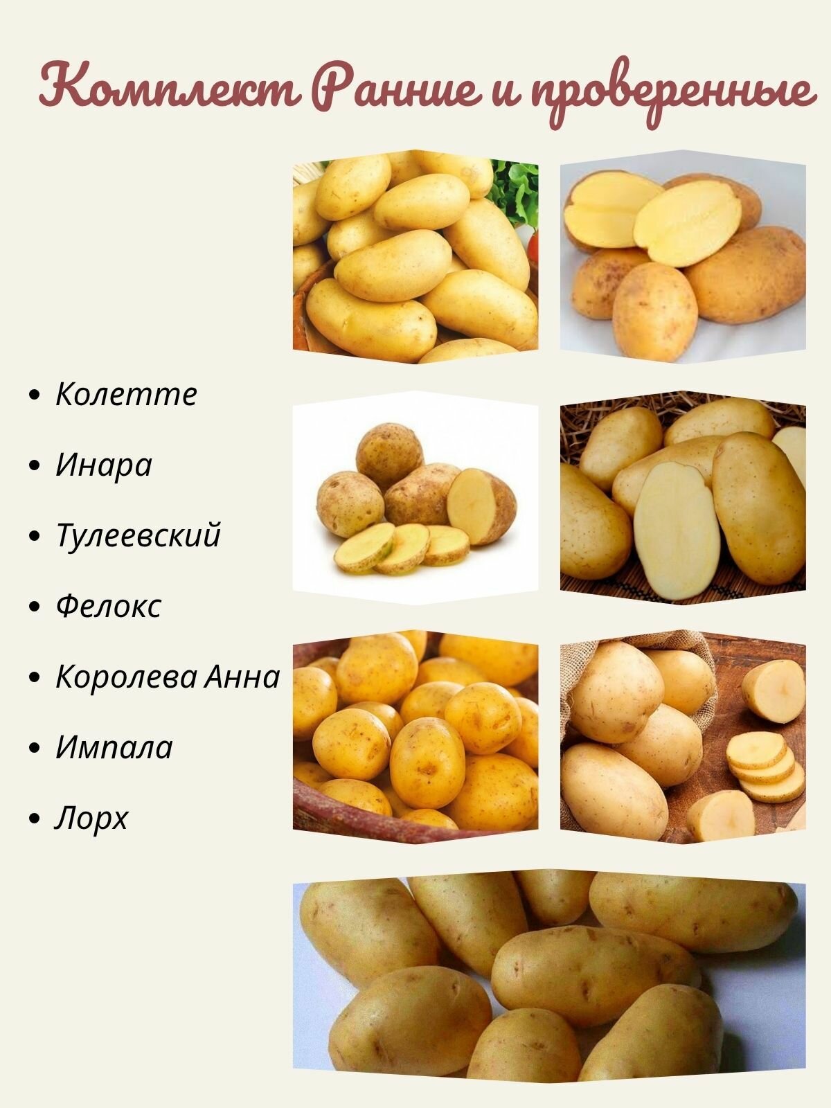 Комплект картофеля из 7 сортов "Ранние и проверенные" 3,5 кг