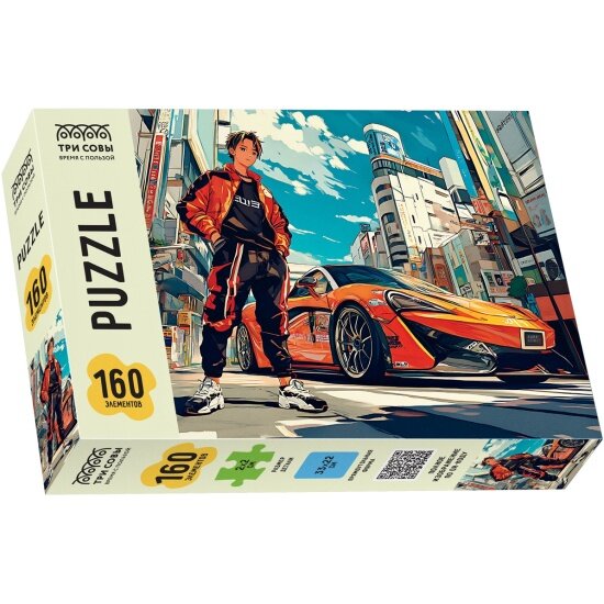 Пазл Три Совы Стритрейсер, 160 эл.