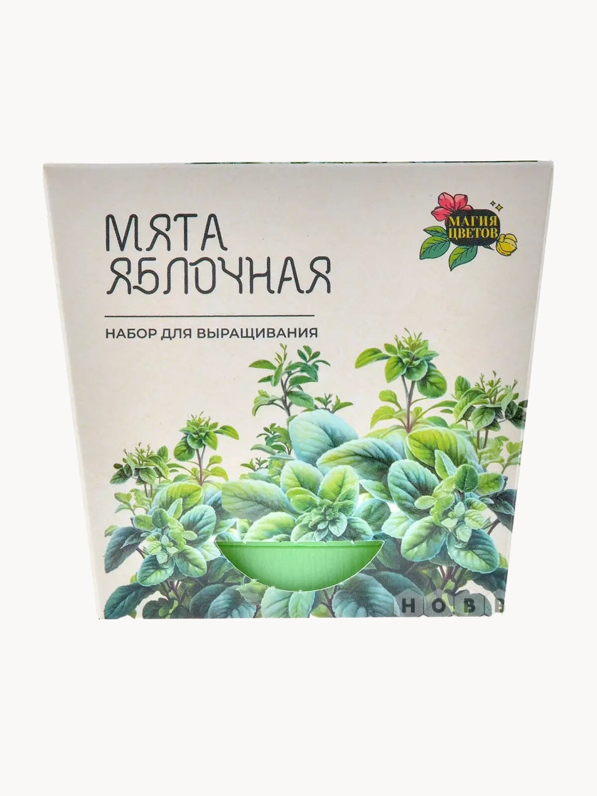 Набор для выращивания растений бренда "Магия цветов" Мята яблочная