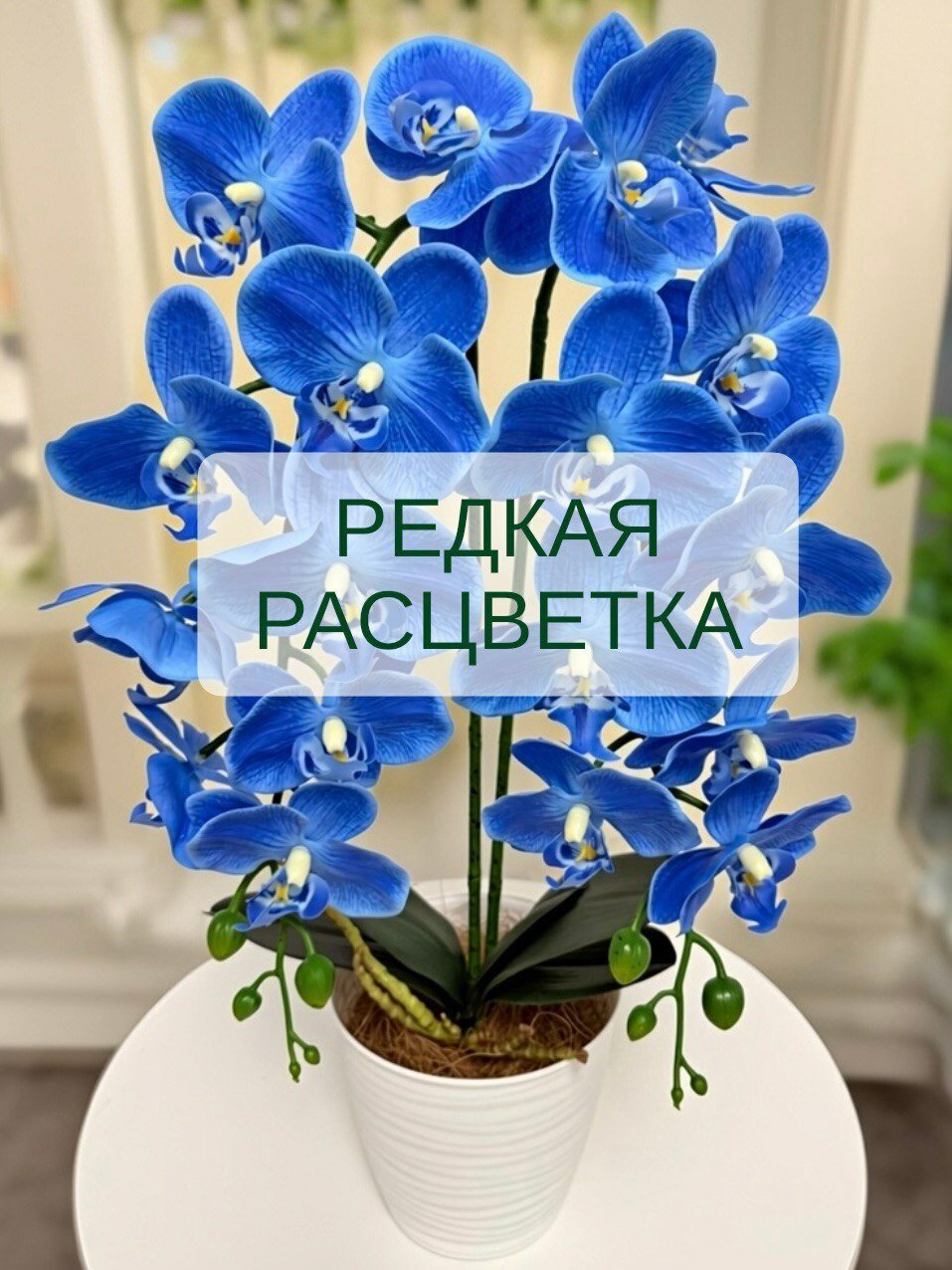 Premium силиконовая искусственная орхидея в горшке