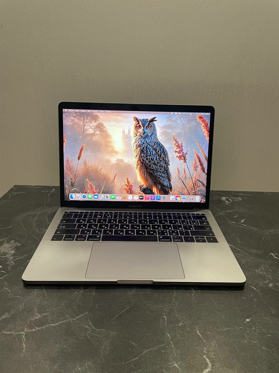 13.3" Ноутбук Apple MacBook Pro 13 2017, Intel Core i5 2.3 ГГц, RAM 8 ГБ, SSD 128 ГБ,Intel HD Graphics 640