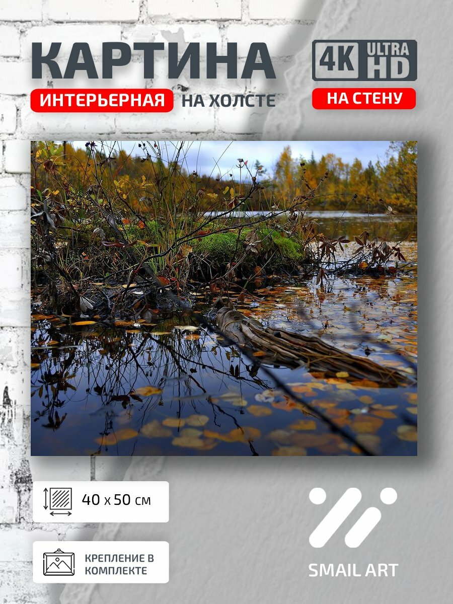 Картина на холсте интерьерная 40 на 50 на стену Болото Landscape для гостиной пейзаж декор
