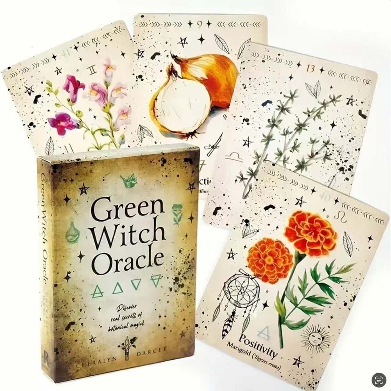 Зеленое растение Таро/10,6*7,6 см