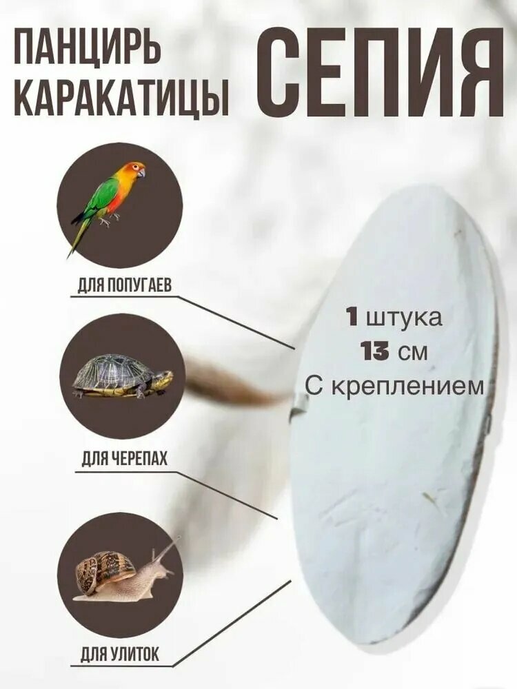 Кости каракатицы, зубные палочки попугаев, птиц, улиток-13 см