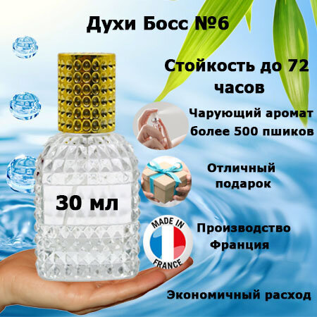 Масляные духи по мотивам Bosss №6, мужской аромат, флакон спрей 30 мл.
