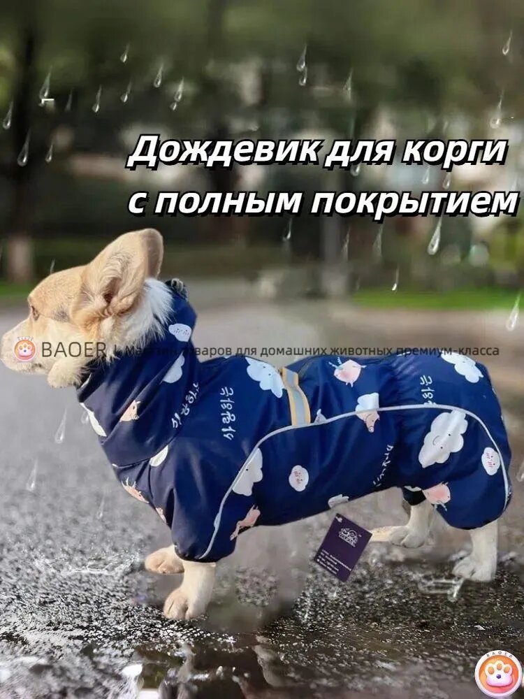 Комбинезон дождевик для собак корги и такс, непромокаемый, с капюшоном, синий