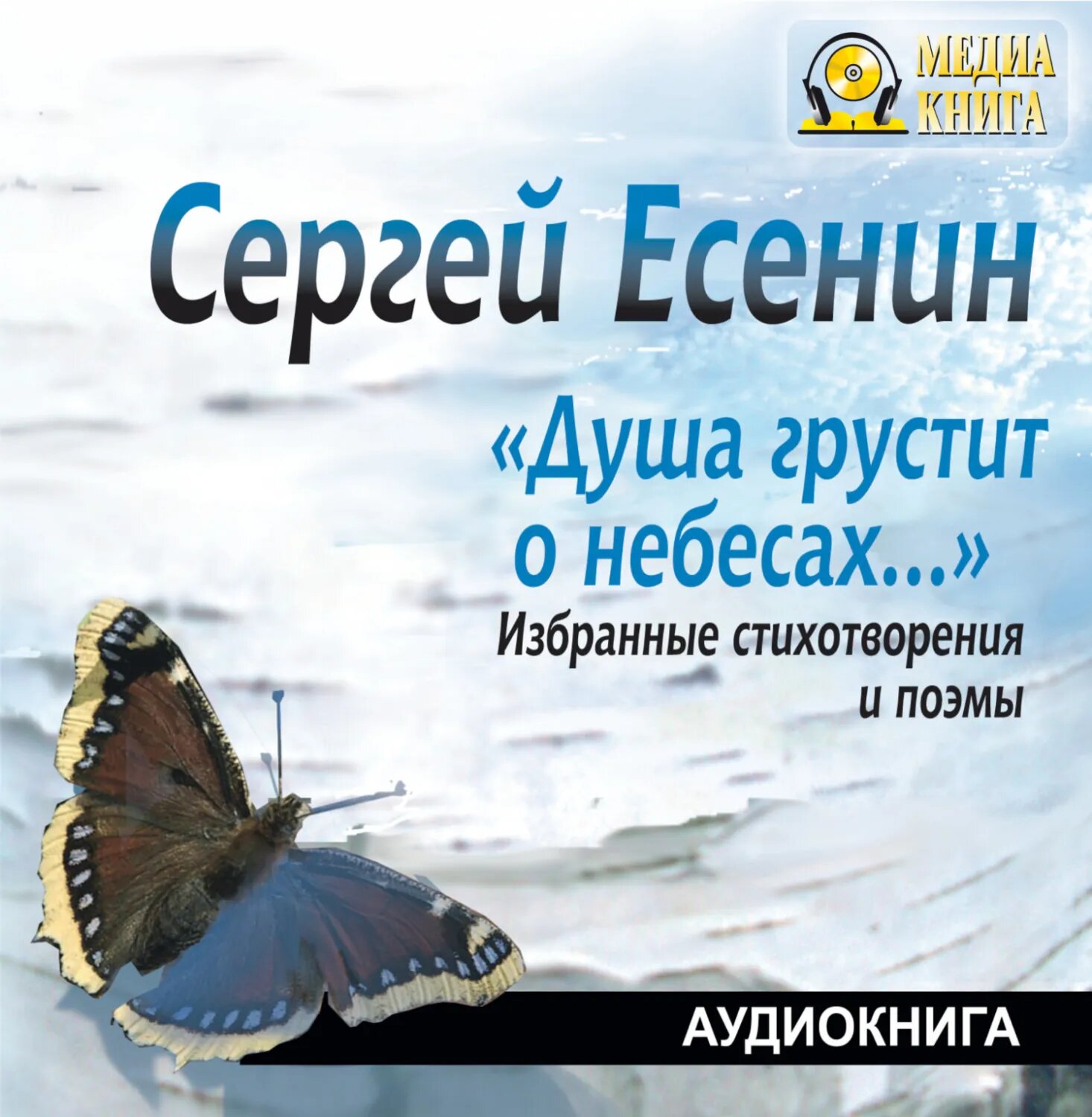 Душа грустит о небесах… Избранные стихотворения и поэмы [Аудиокнига]