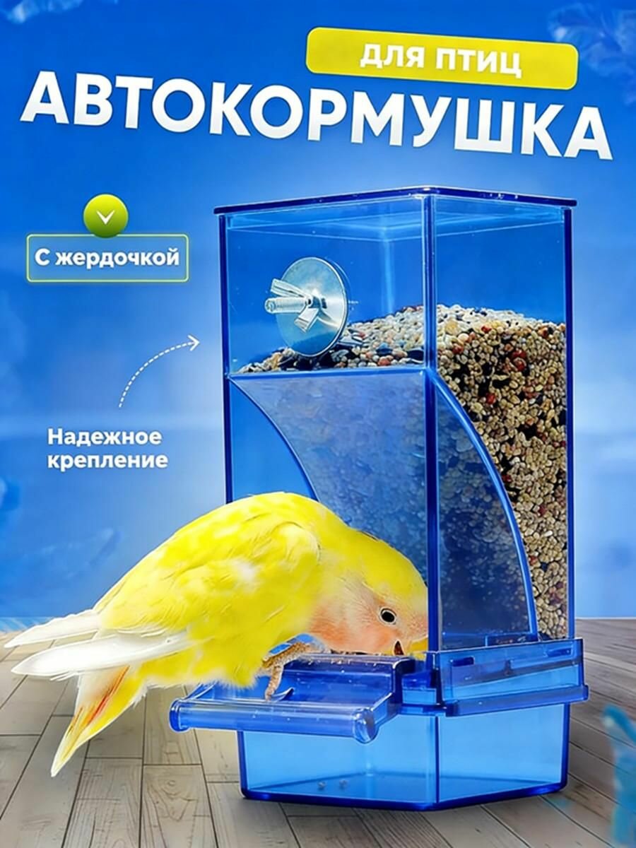 Кормушка для птиц, кормушка уличная на окно, на дерево