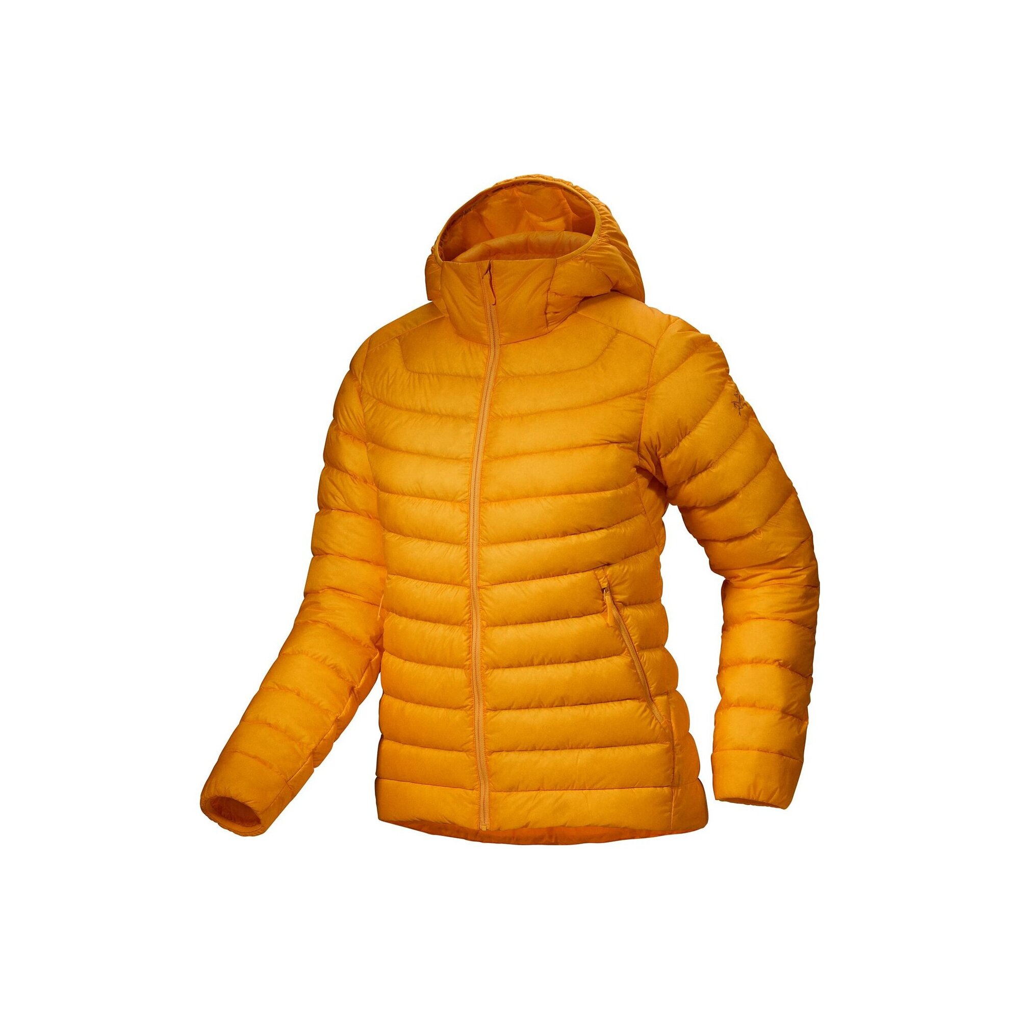 Пуховик Arc'teryx