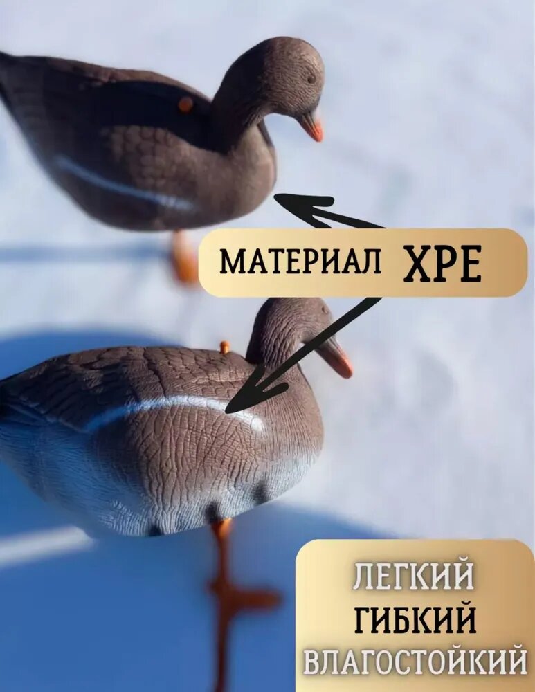 Чучело гуся набор 10 шт (6 кормящихся, 2 сторожа, 2 отдыхающих) из вспененного полимера, не бликует — фото 1