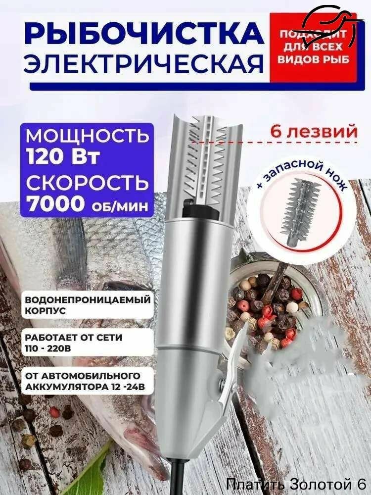 Эксклюзивный скейлер 220 и 12 Вольт для эффективной очистки рыбы