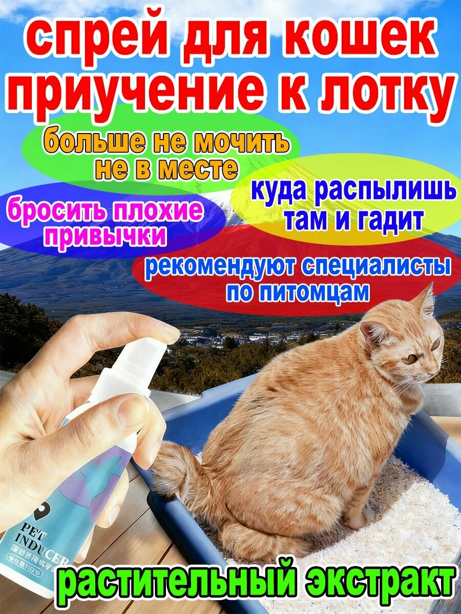 Корректор поведения для животных
