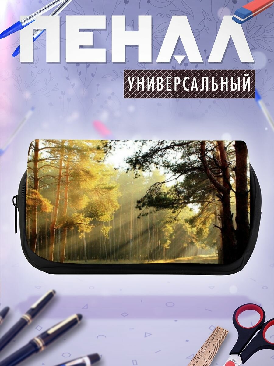 Школьный пенал лес солнечный свет