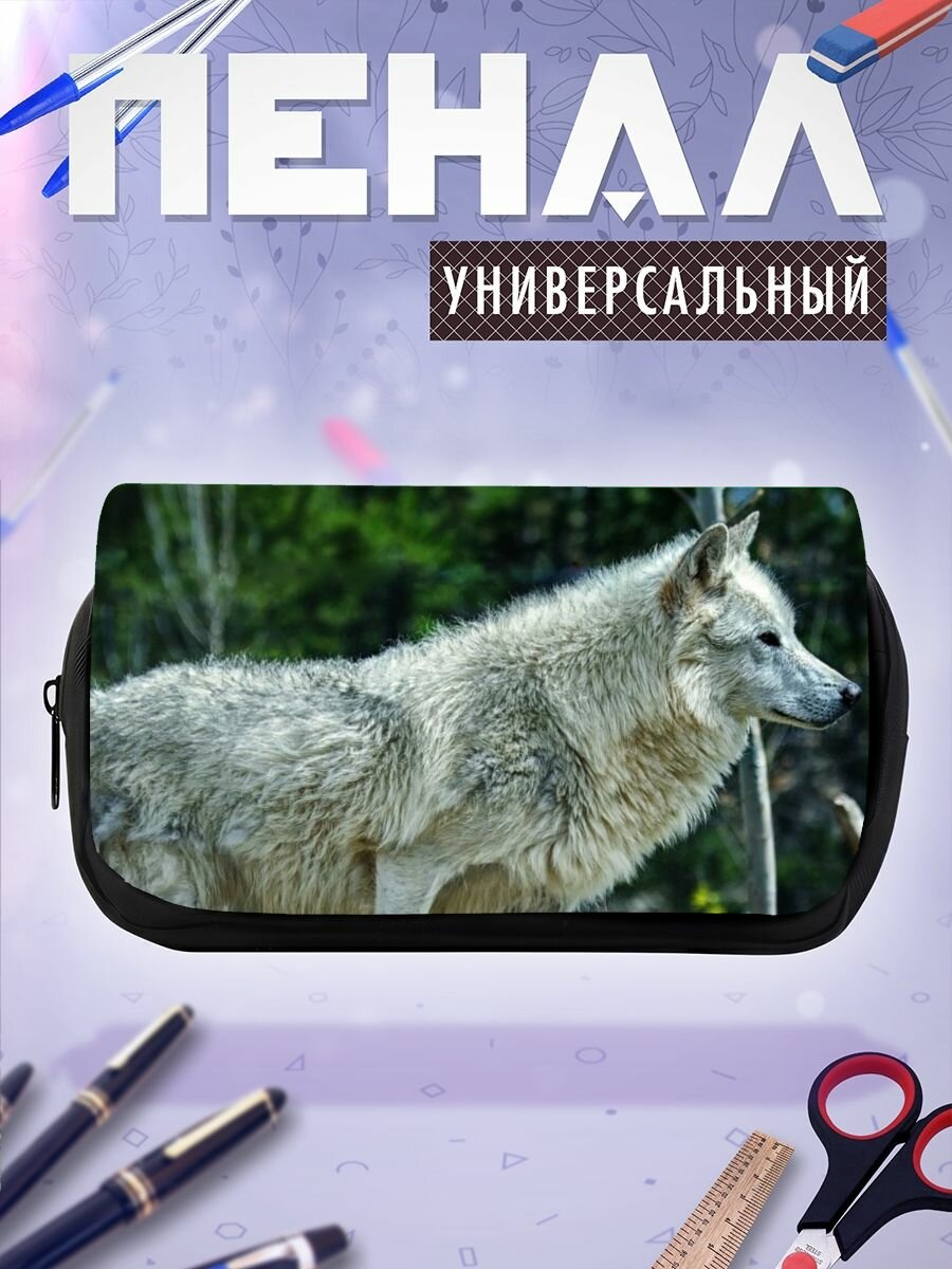 Школьный пенал живая природа Койот