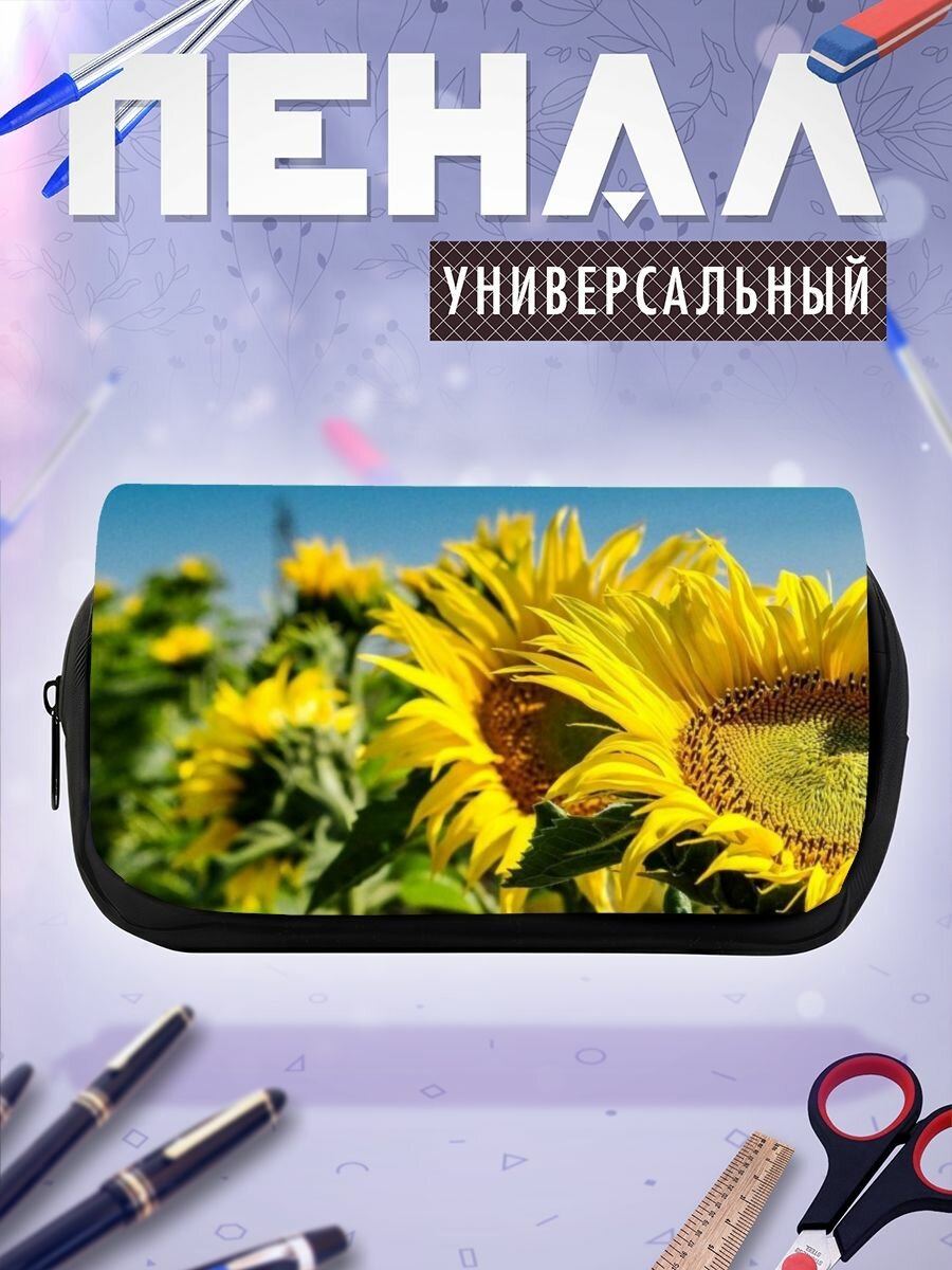 Школьный пенал общие подсолнуха цветковое растение
