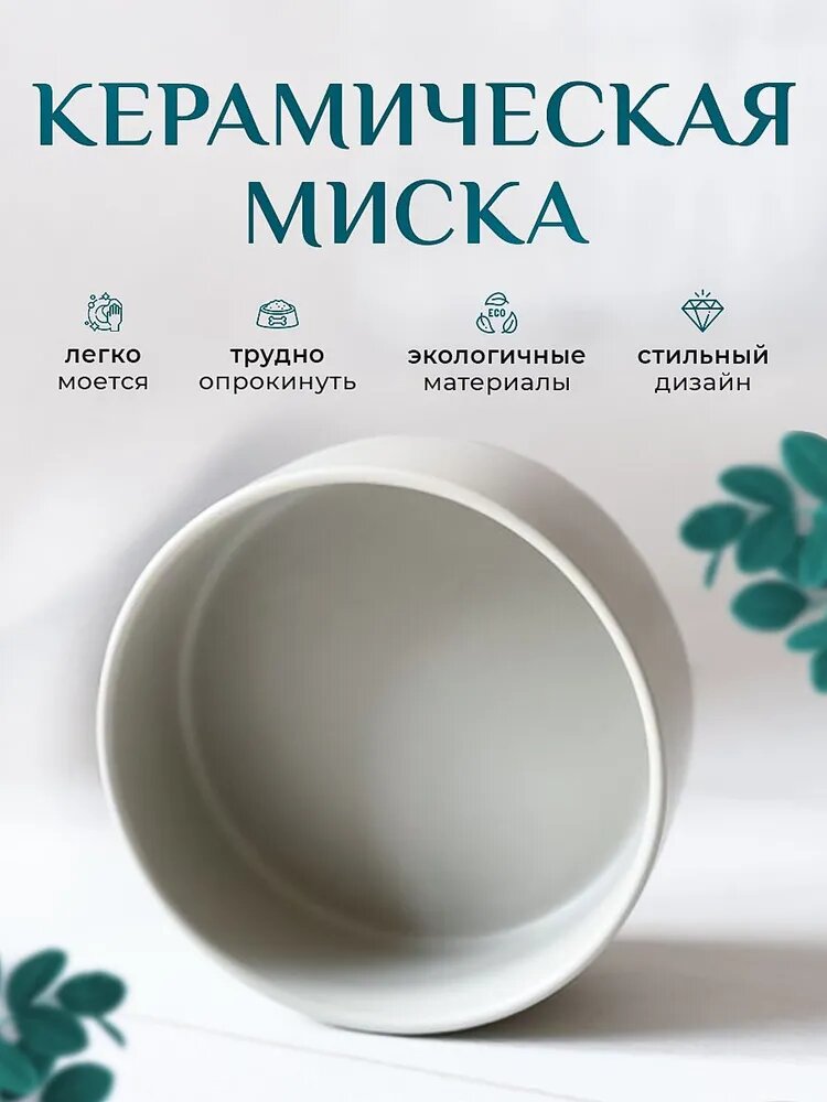 Миска для кошек и собак — фото 1