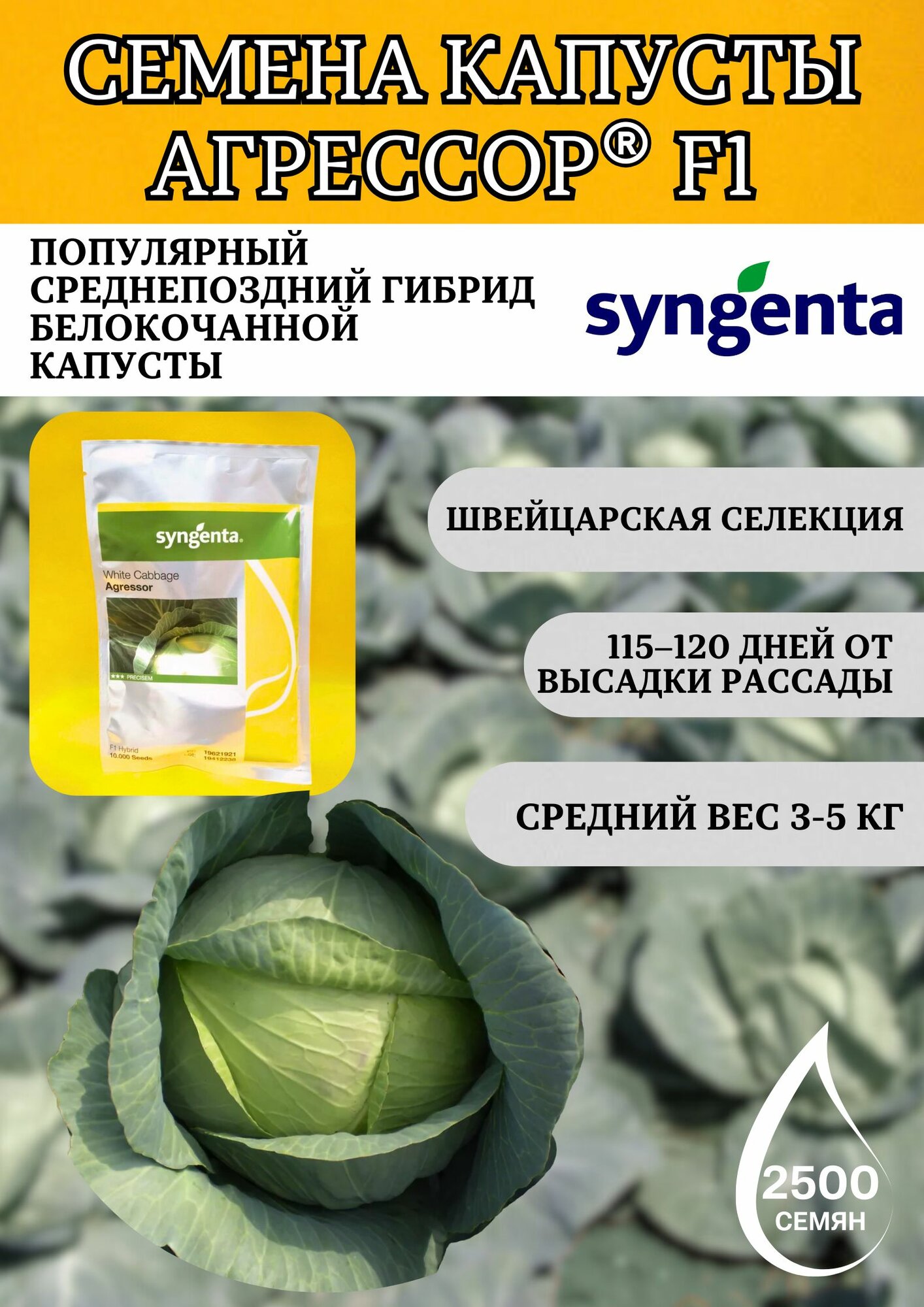 Капуста белокочанная Агрессор F1 2500 семян Syngenta, профессиональные семена