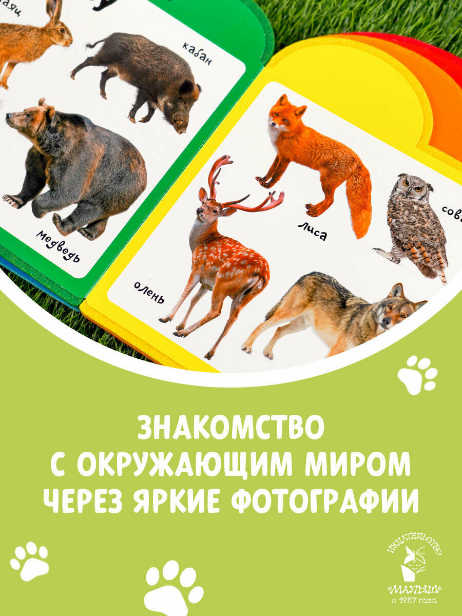 "Животные" книга от издательства АСТ Мягкая книжка для малыша — фото 1