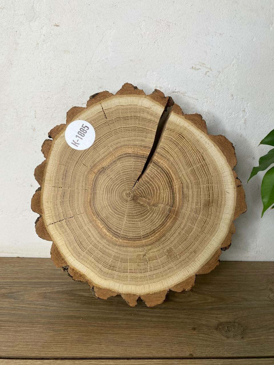 Спил дуб . Габаритные размеры 30х28х6,5 см. Шлифованный с 2-х сторон. артикул к1885