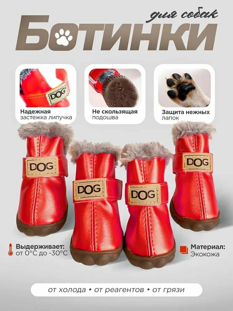 Зимняя обувь для собак