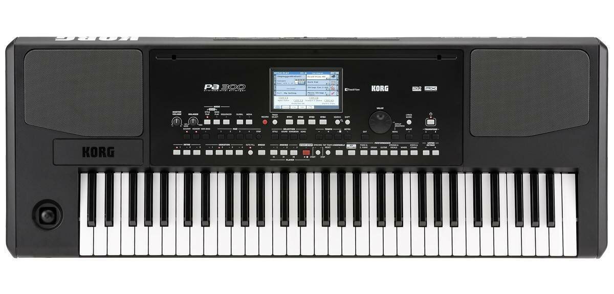 Рабочая станция KORG PA300