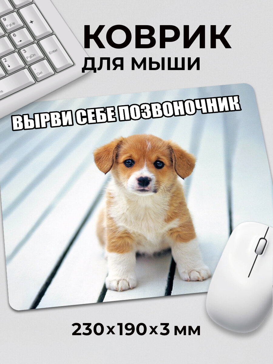 Коврик для мышки с приколом мем Пёсик вырви себе позвоночник, на нескользящем резиновом основании 230x190x3 мм