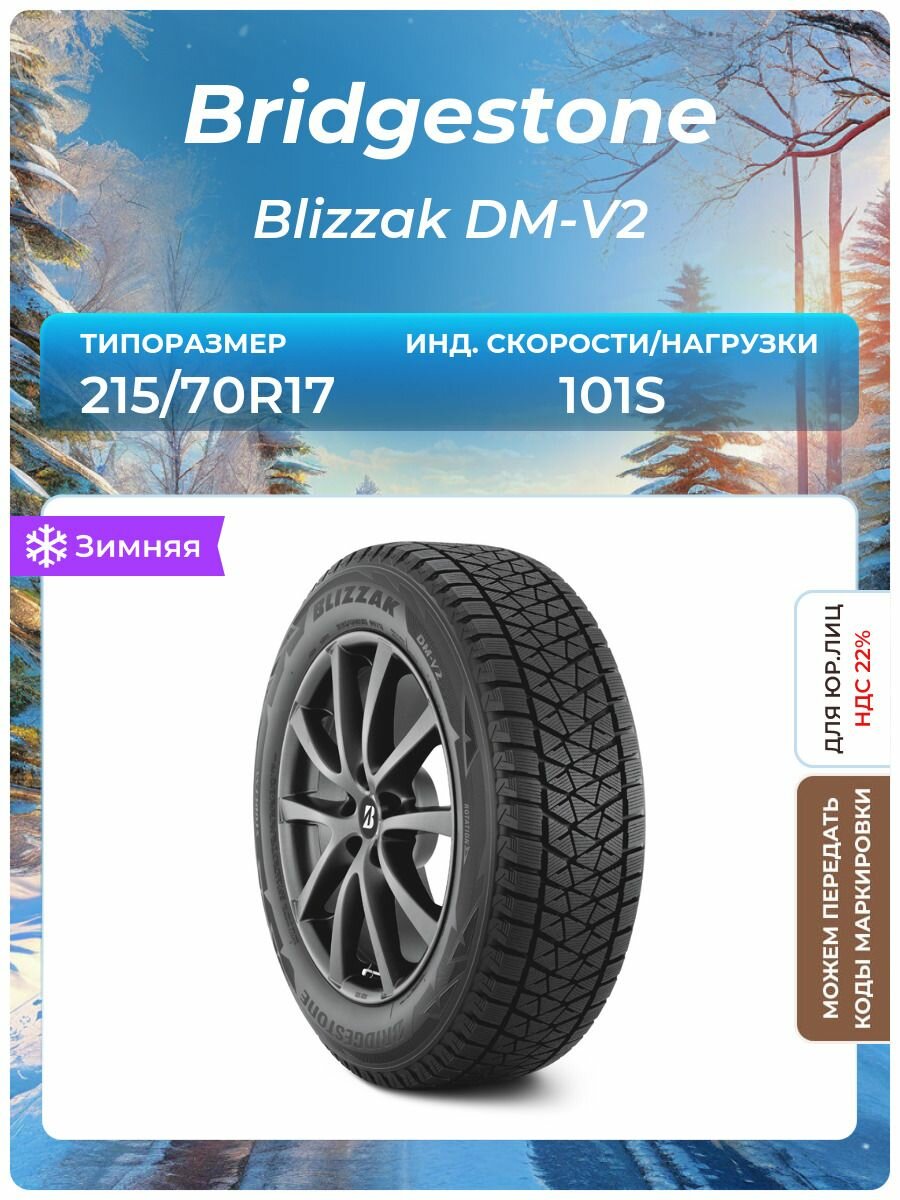 Шина Bridgestone Blizzak DM-V2