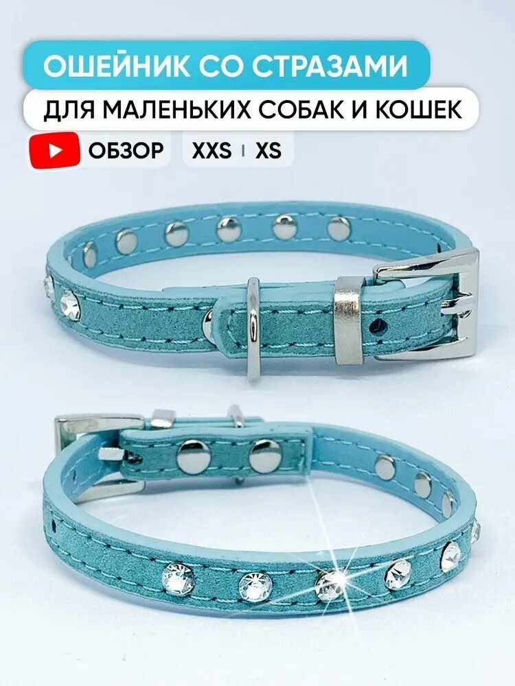 Красный ошейник со стразами для собак мелких пород и кошек, XS / 22см - 27см