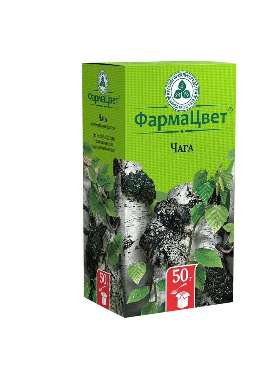 Чага березовый гриб