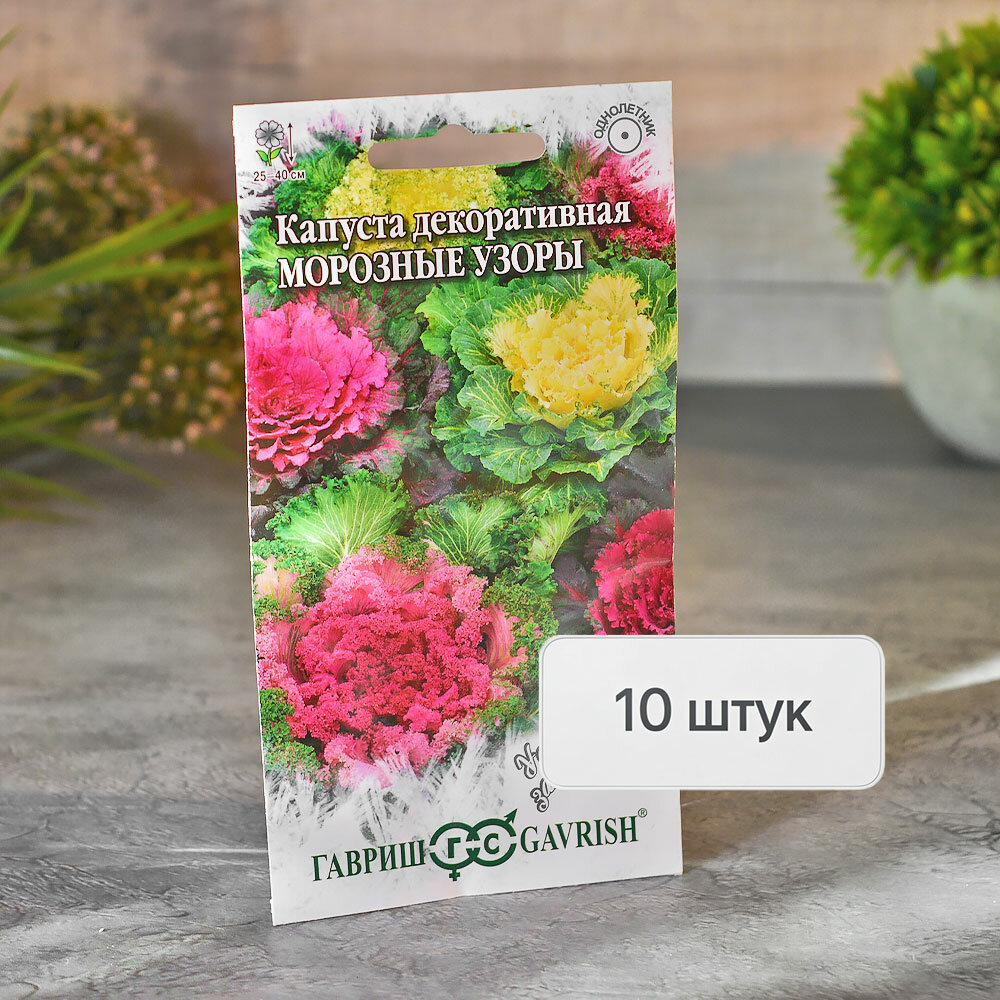 Семена капусты декоративной "Морозные узоры" 10 шт, однолетник, 25-40 см
