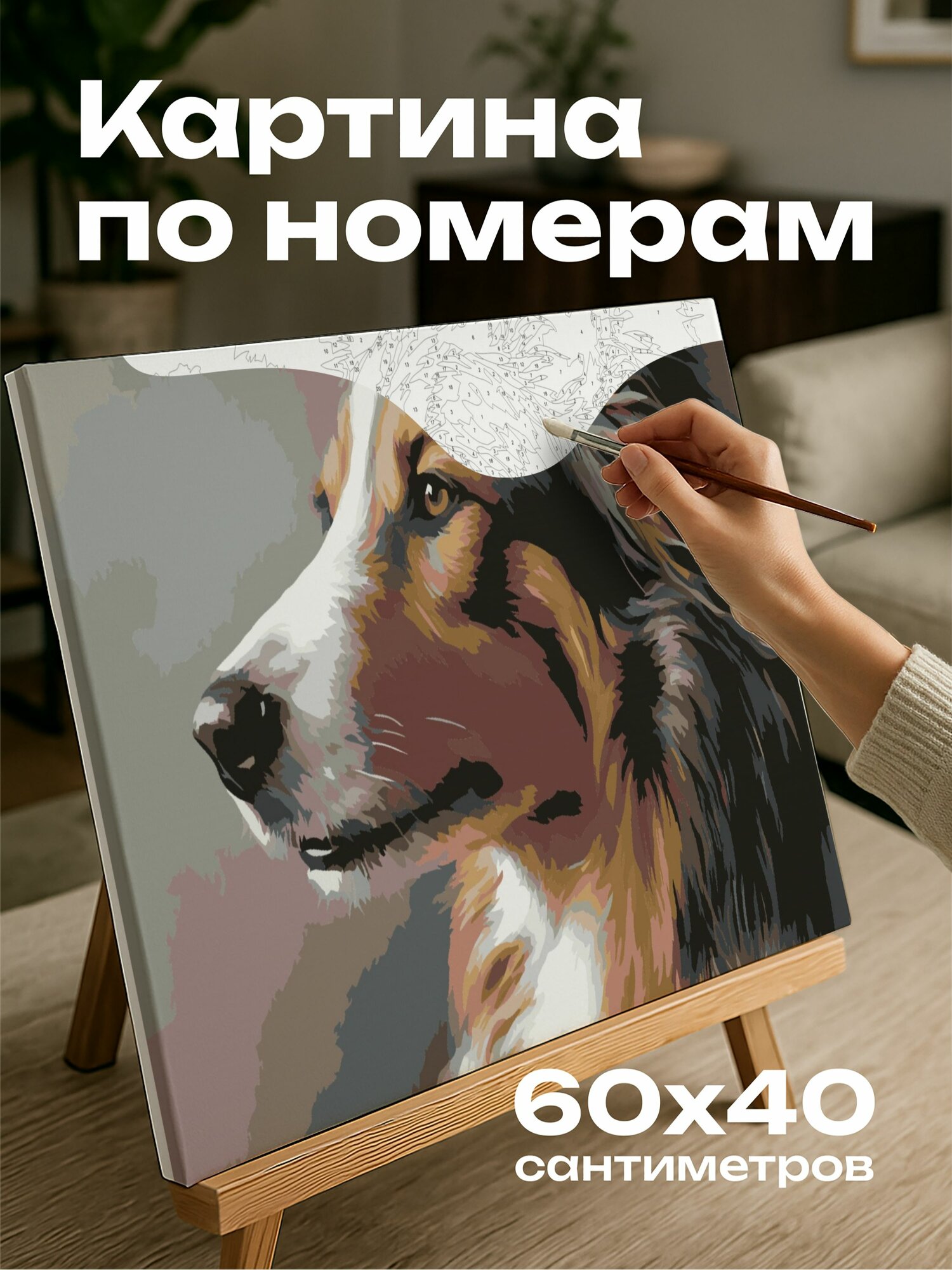 Картина по номерам 60x40 см, портрет, колли, масло, реалистичный стиль, благородство, достоинство, текстура шерсти