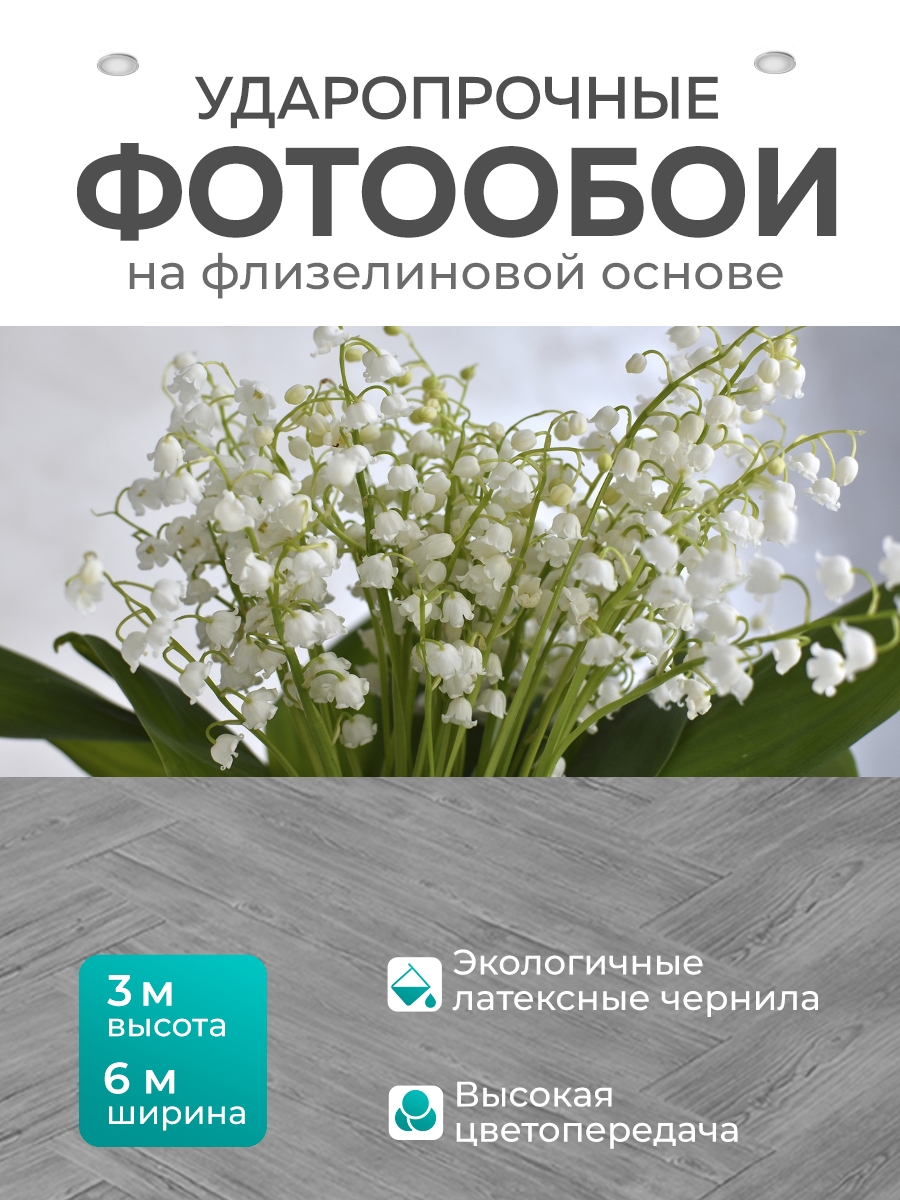 Фотообои моющиеся ударопрочные "Ландыши, цветы, весна" 600x300 см. флизелиновые на стену