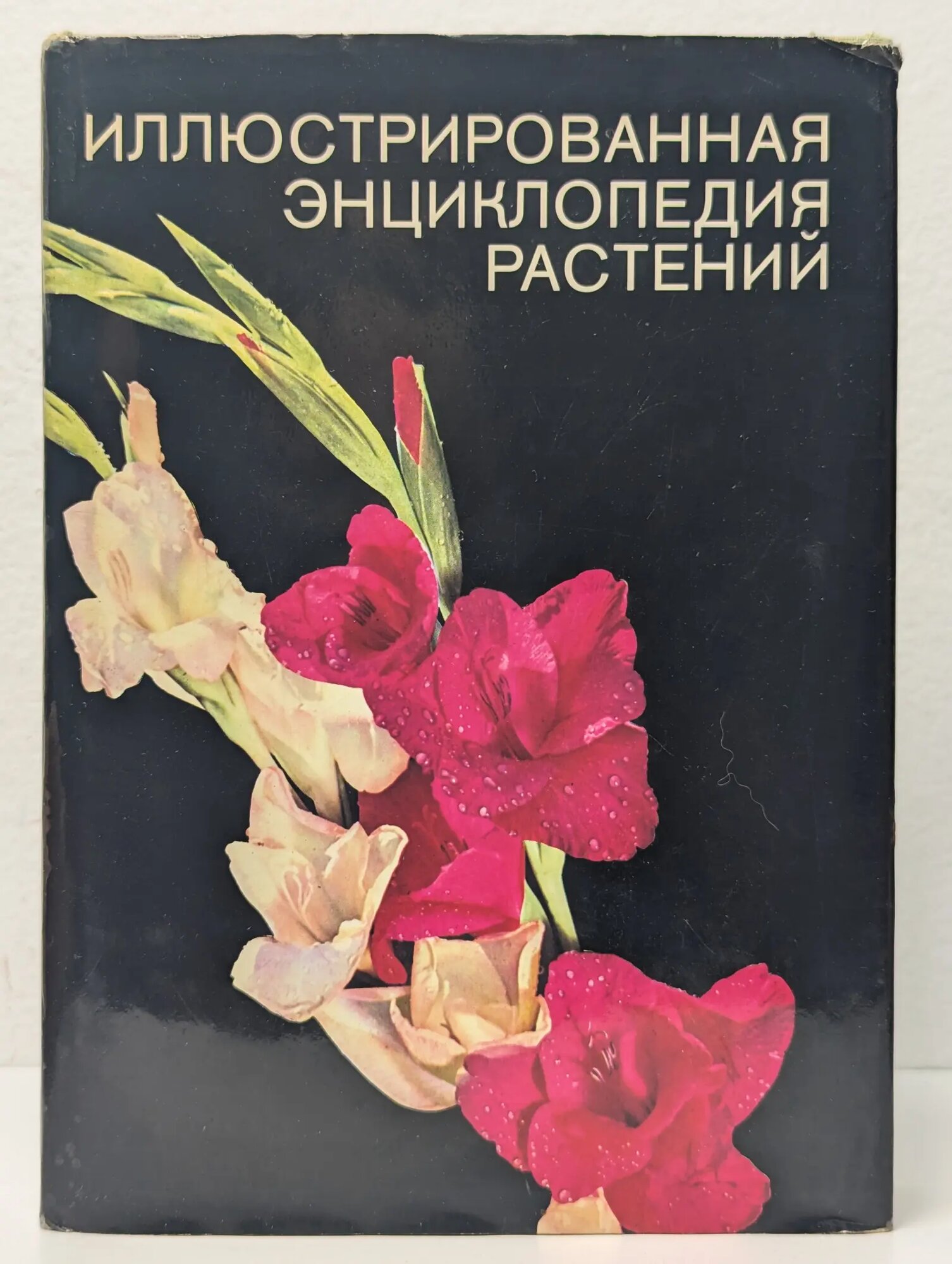 Иллюстрированная энциклопедия растений Новак Ф. А. 1985