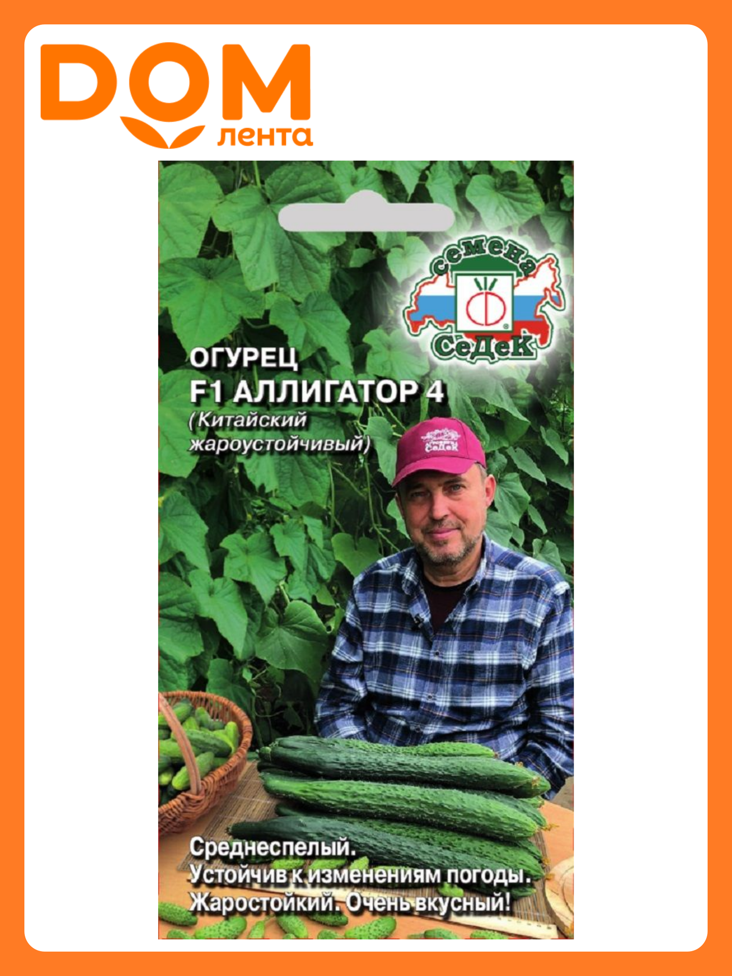 Огурец Аллигатор 4 F1