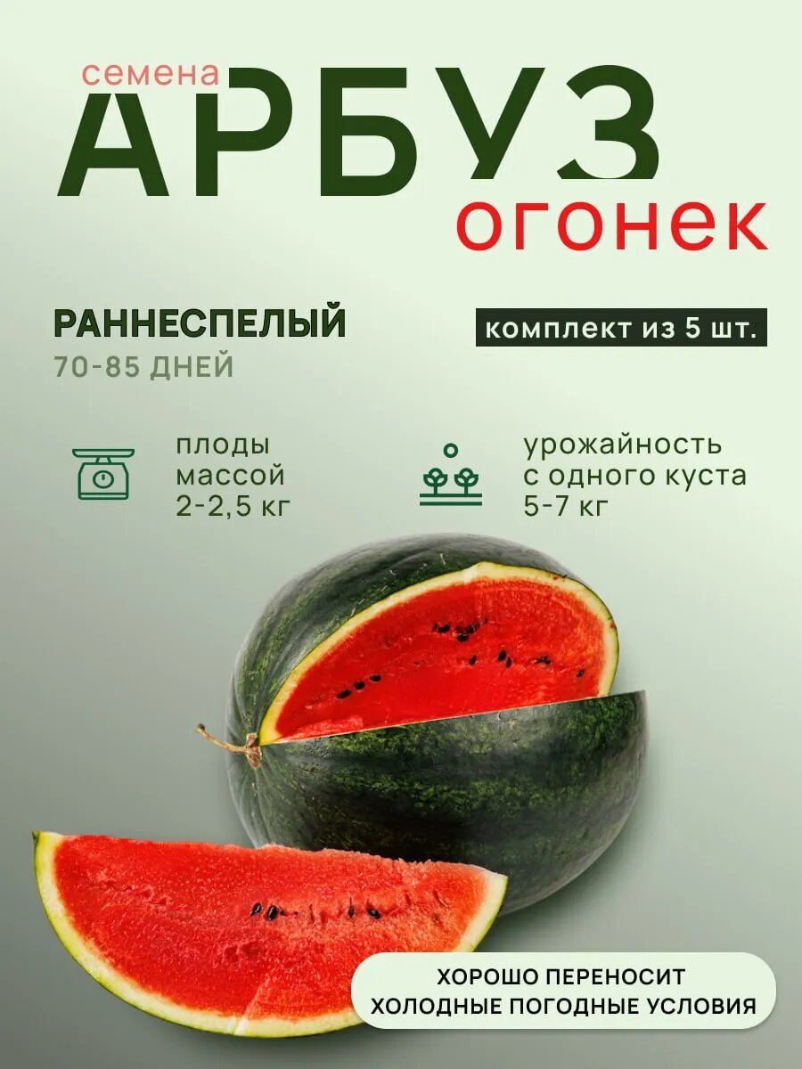 Семена арбуза "Огонёк", раннеспелые, сочный и сладкий сорт, 5 пачек